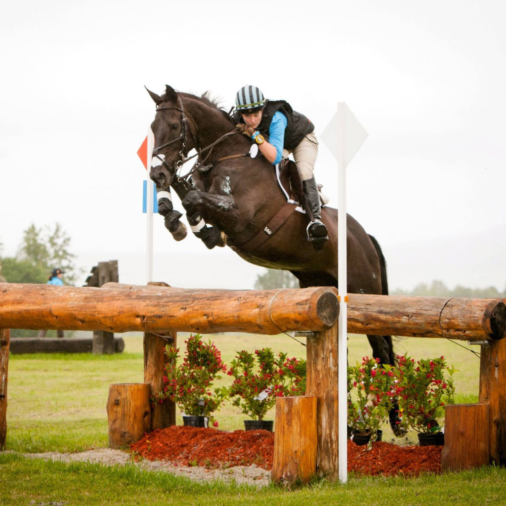 Gallops Saddlery | Saddles, Clothing, Equipment