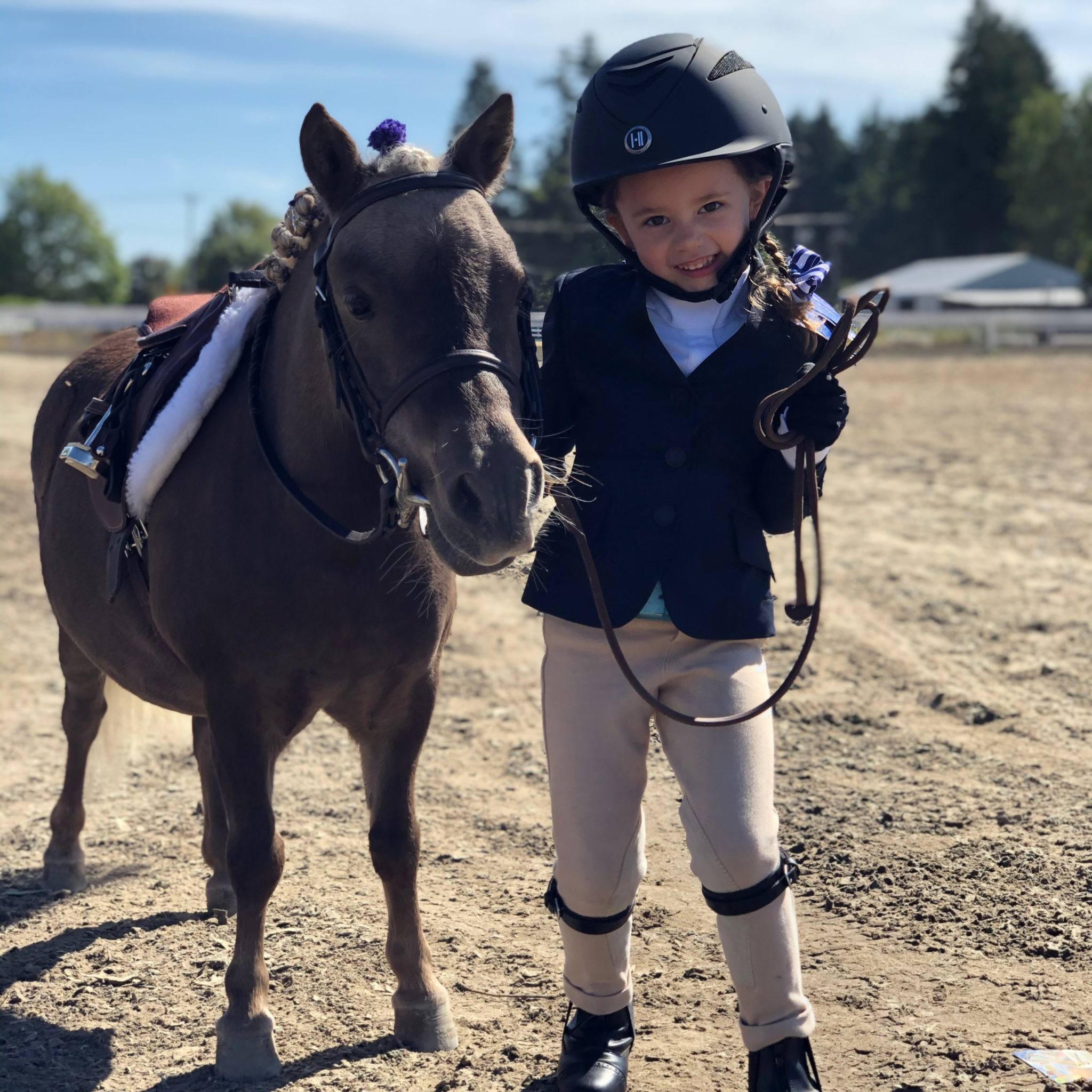 Gallops Saddlery | Saddles, Clothing, Equipment