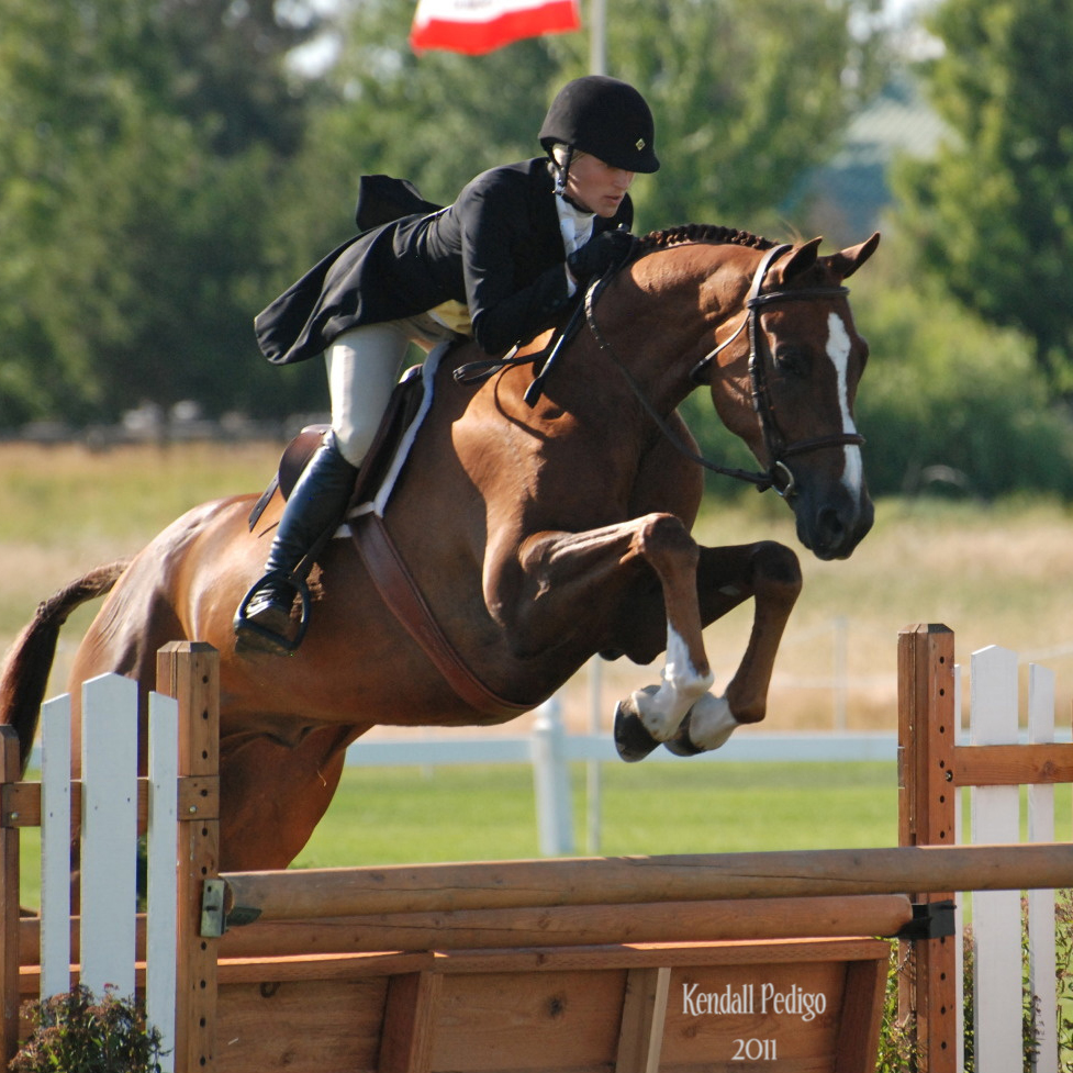 Gallops Saddlery | About Us | Saddles, Clothing, & More