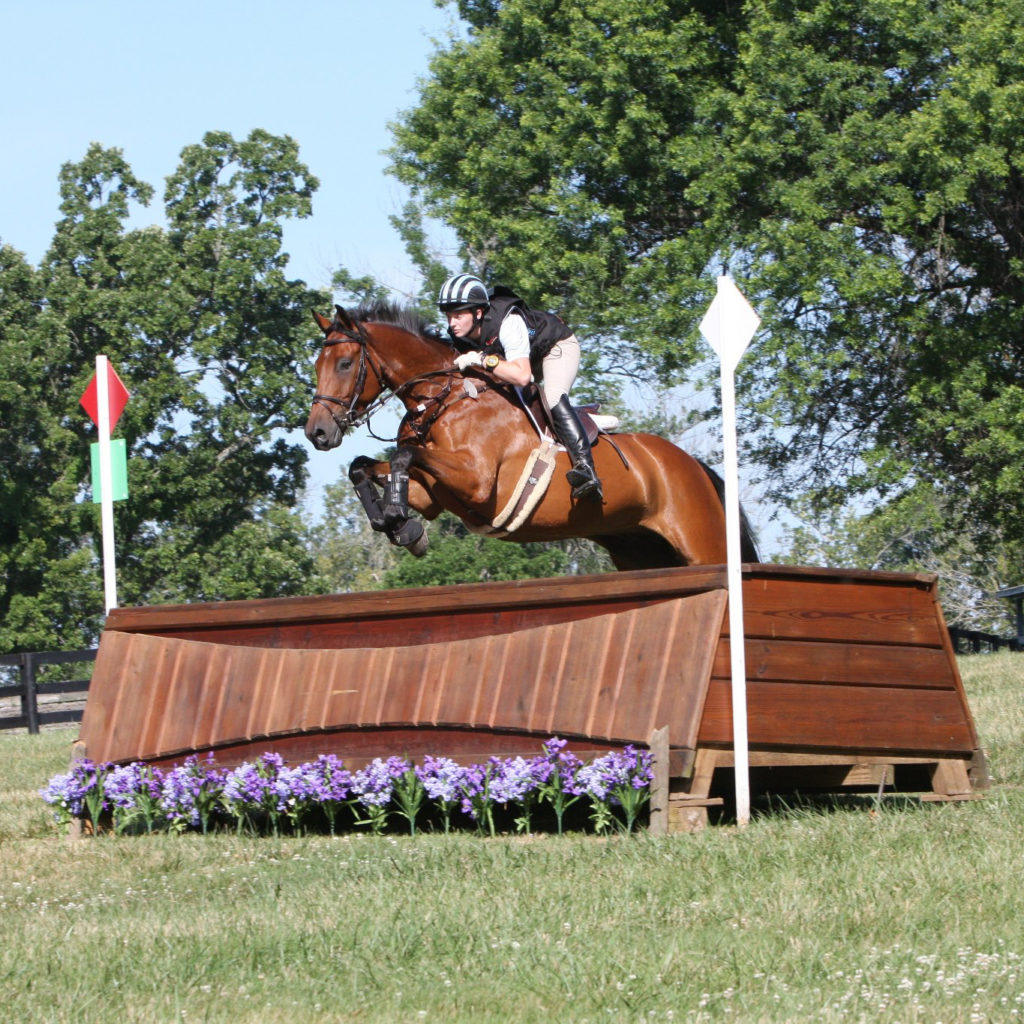 Gallops Saddlery | About Us | Saddles, Clothing, & More