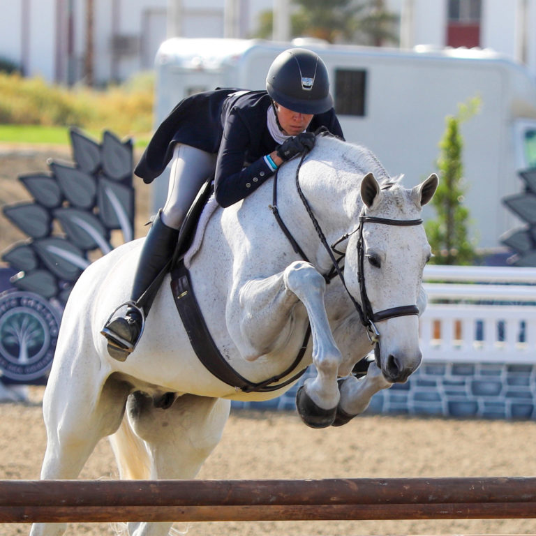 Gallops Saddlery | Saddles, Clothing, Equipment