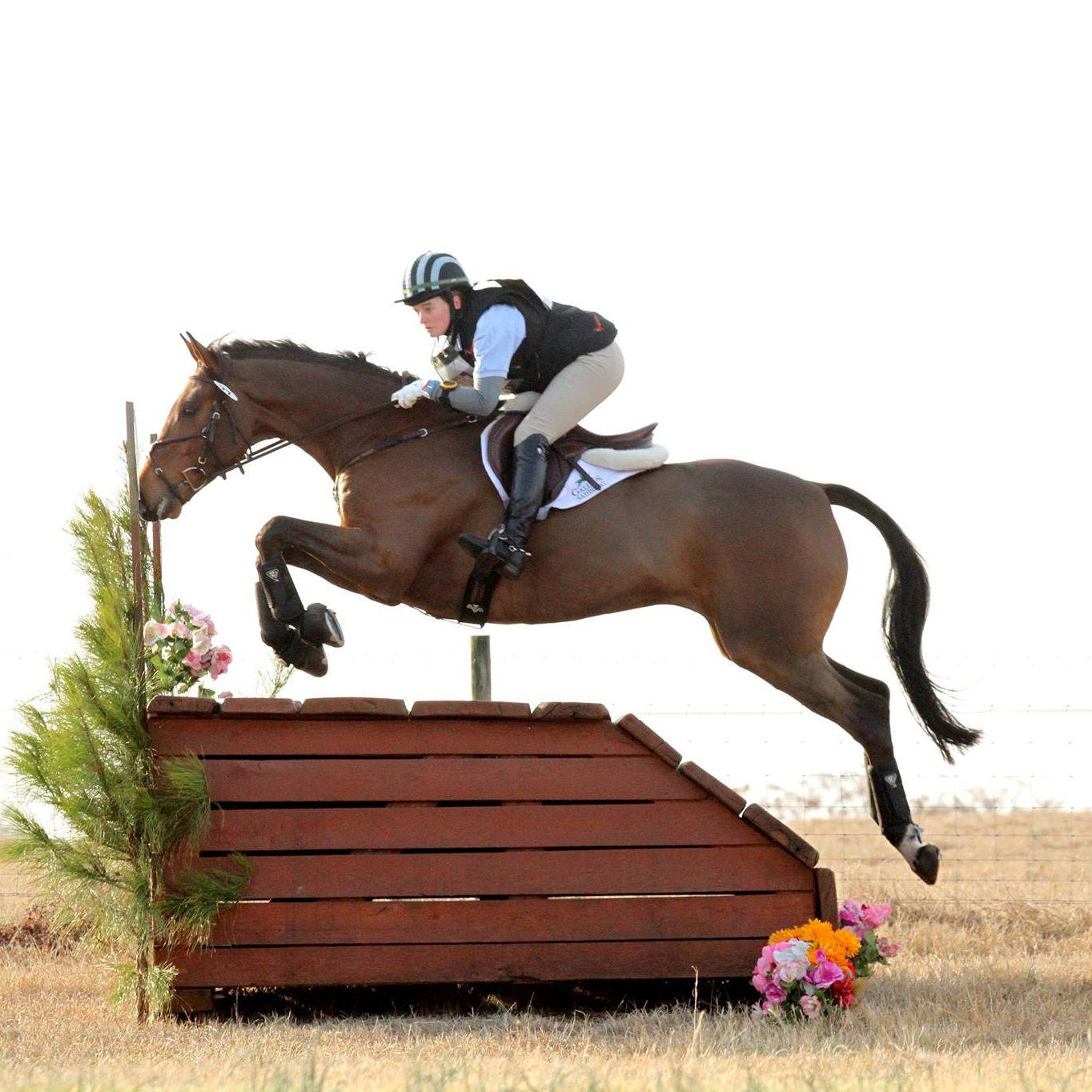 Gallops Saddlery | About Us | Saddles, Clothing, & More